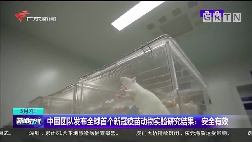 中国团队发布全球首个新冠疫苗动物实验研究结果:安全有效