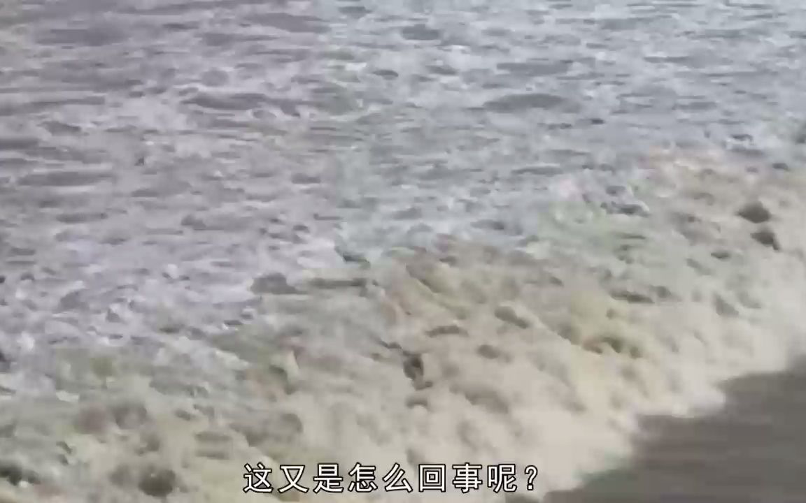 大海为什么潮起潮落?潮汐现象如此频发,会对我们产生什么影响?