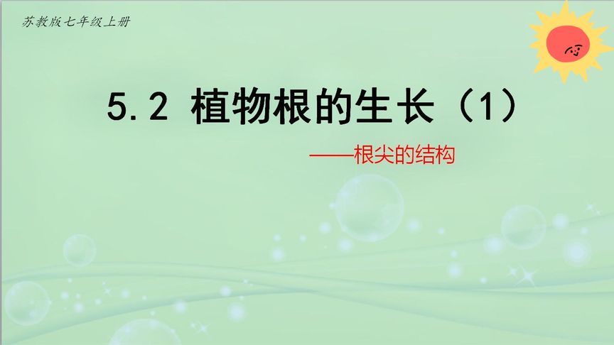 七年级生物新课—— 5.2植物根的生长(1)根尖的结构