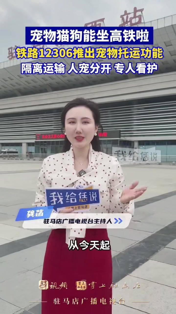 宠物猫狗能坐高铁啦铁路12306推出宠物托运功能“隔离运输人宠分开...