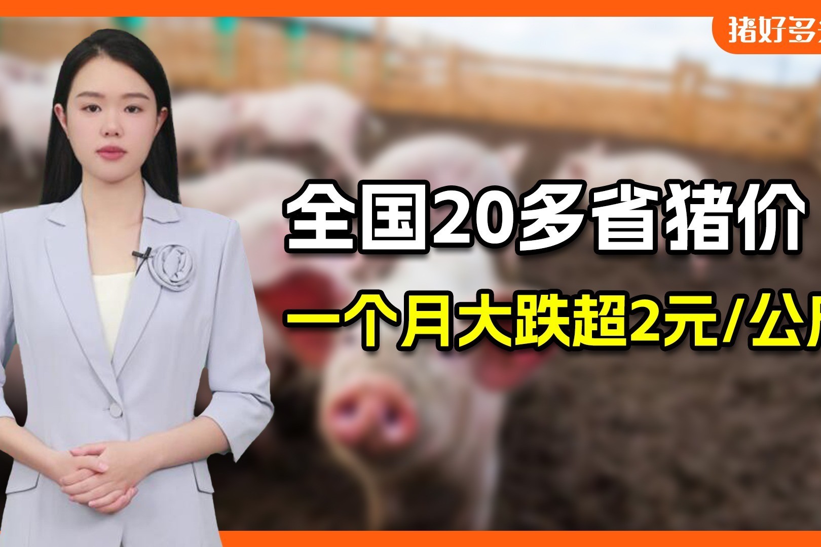 国家统计局最新公布!猪价一跌再跌,全国多省跌破9元区间!