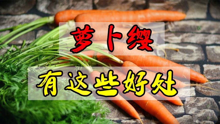 萝卜缨营养丰富,不仅可食用还能药用,萝卜缨不要扔,有这些好处