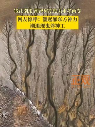 近日,浙江海宁。刘先生拍摄到钱江潮退,潮汐树绘绝美水墨画卷!网友...