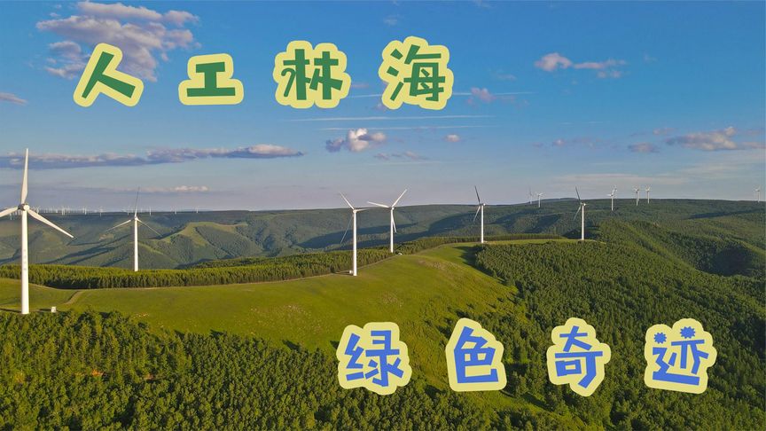 实拍塞罕坝林场,三代人植树造林55年,荒漠变林海是祖国又一奇迹