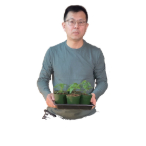 老李种菜 