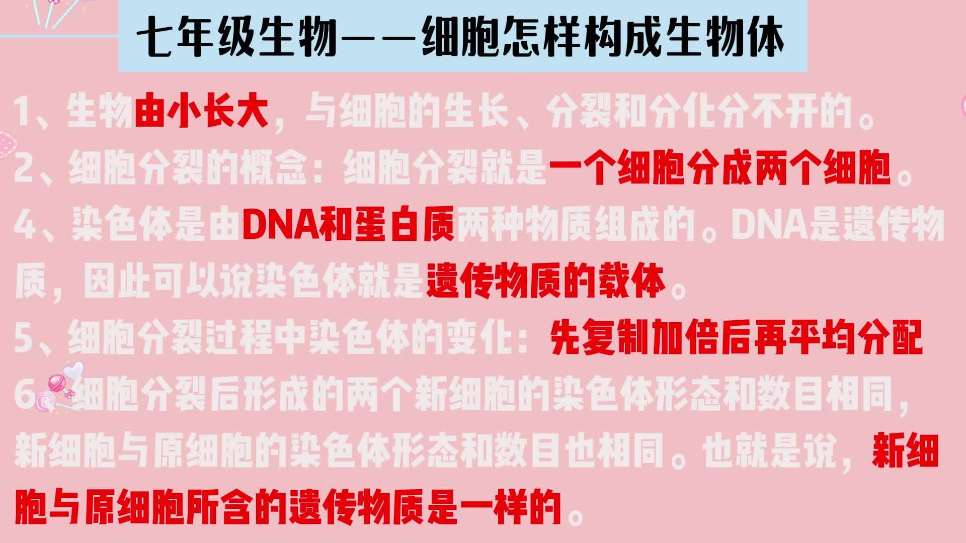 七年级生物--细胞怎样构成生物体