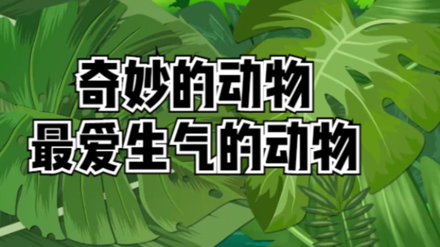 #奇妙的动物---最大的爬行动物#动物世界#早教 #幼儿启蒙教育