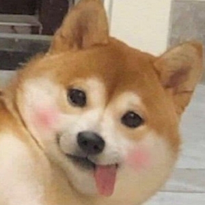 金-桔 