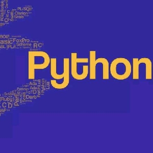 Python阁主 
