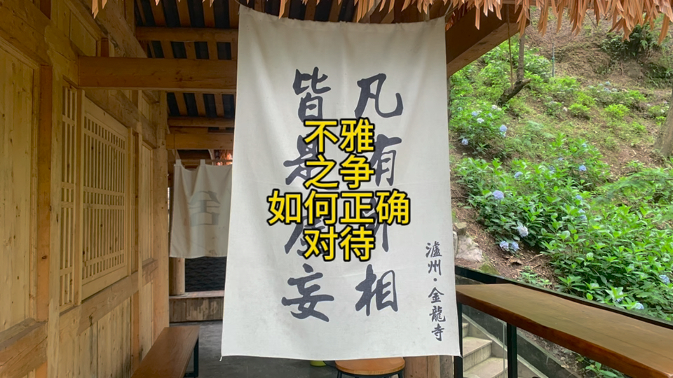 前体操奥运冠军管晨辰,公开质问师姐擦边,不雅背后隐藏着什么?