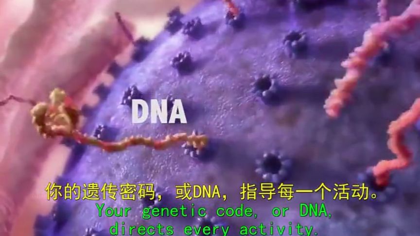 90秒让你看懂新冠病毒如何在细胞内进行复制