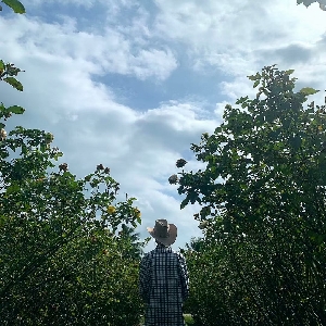 小明同学的生活 