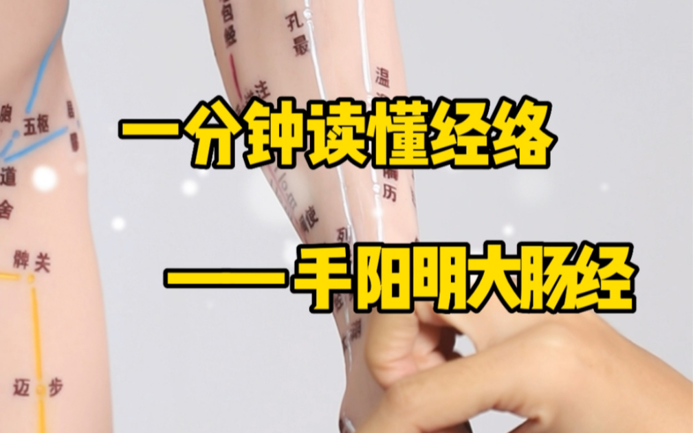 第二集:速学手阳明大肠经