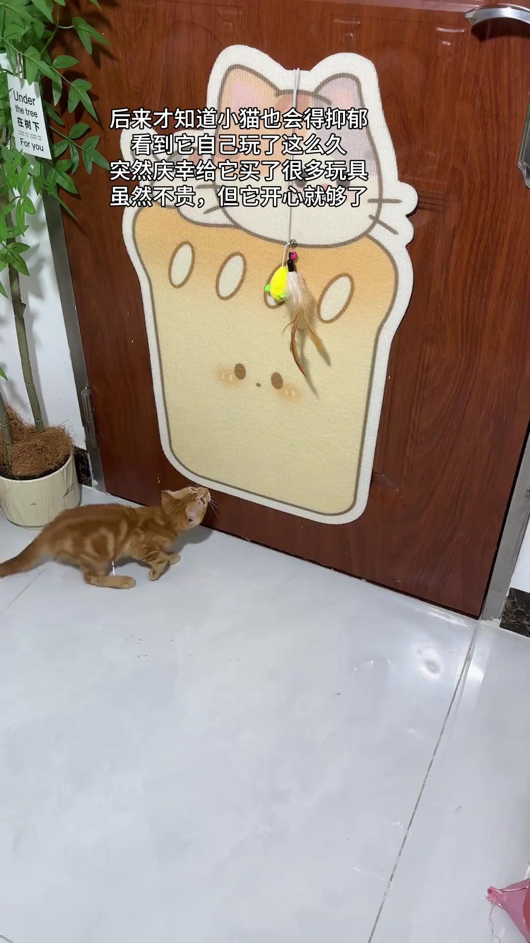 ...不掉屑!猫抓板贴垫防抓沙发,猫咪爱玩必备!#立式猫抓贴 #猫抓板神器 ...