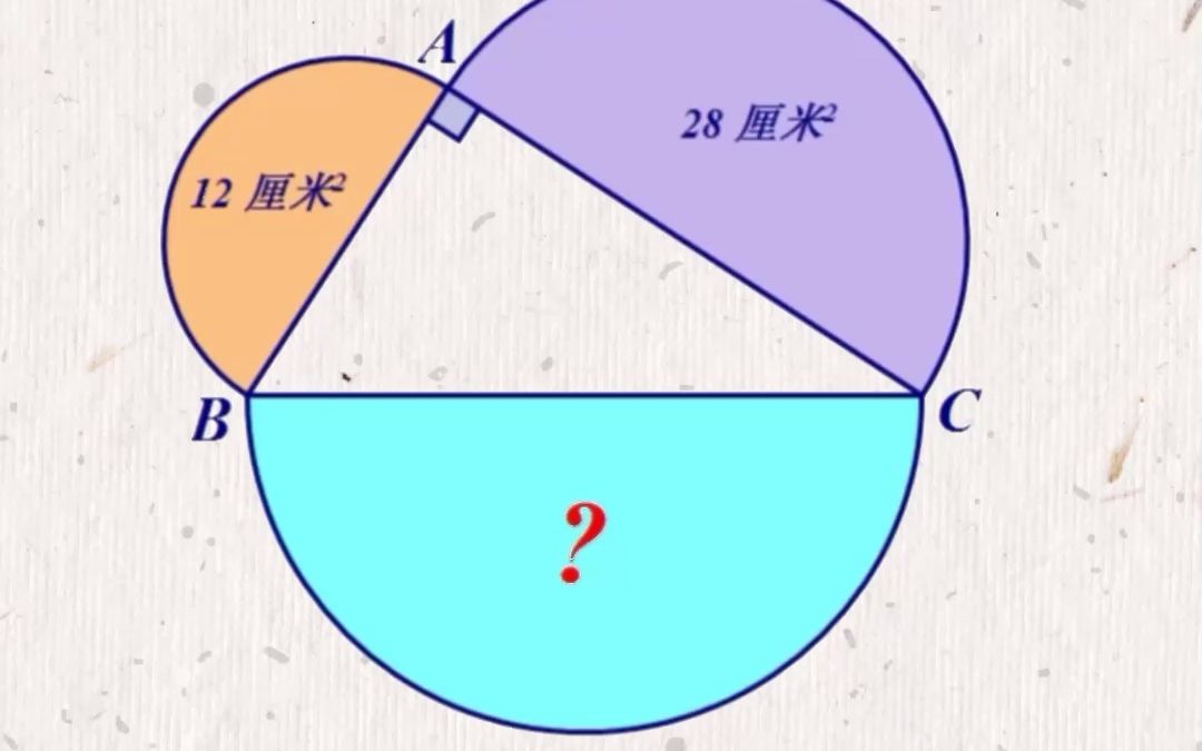 小学生学点勾股定理?#数学思维 #几何动画 #勾股定理