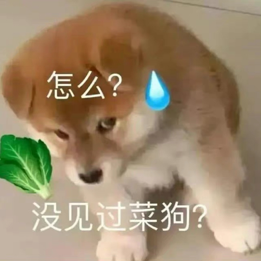 有两面包夹芝士吗 