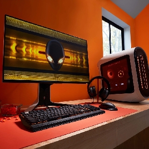 VXQ_3399419161 