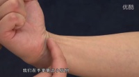 手少阴心经——灵道穴
