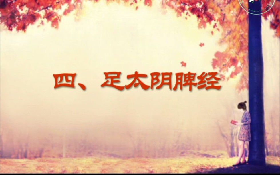 【针灸干货】足太阴脾经循行及要穴☕