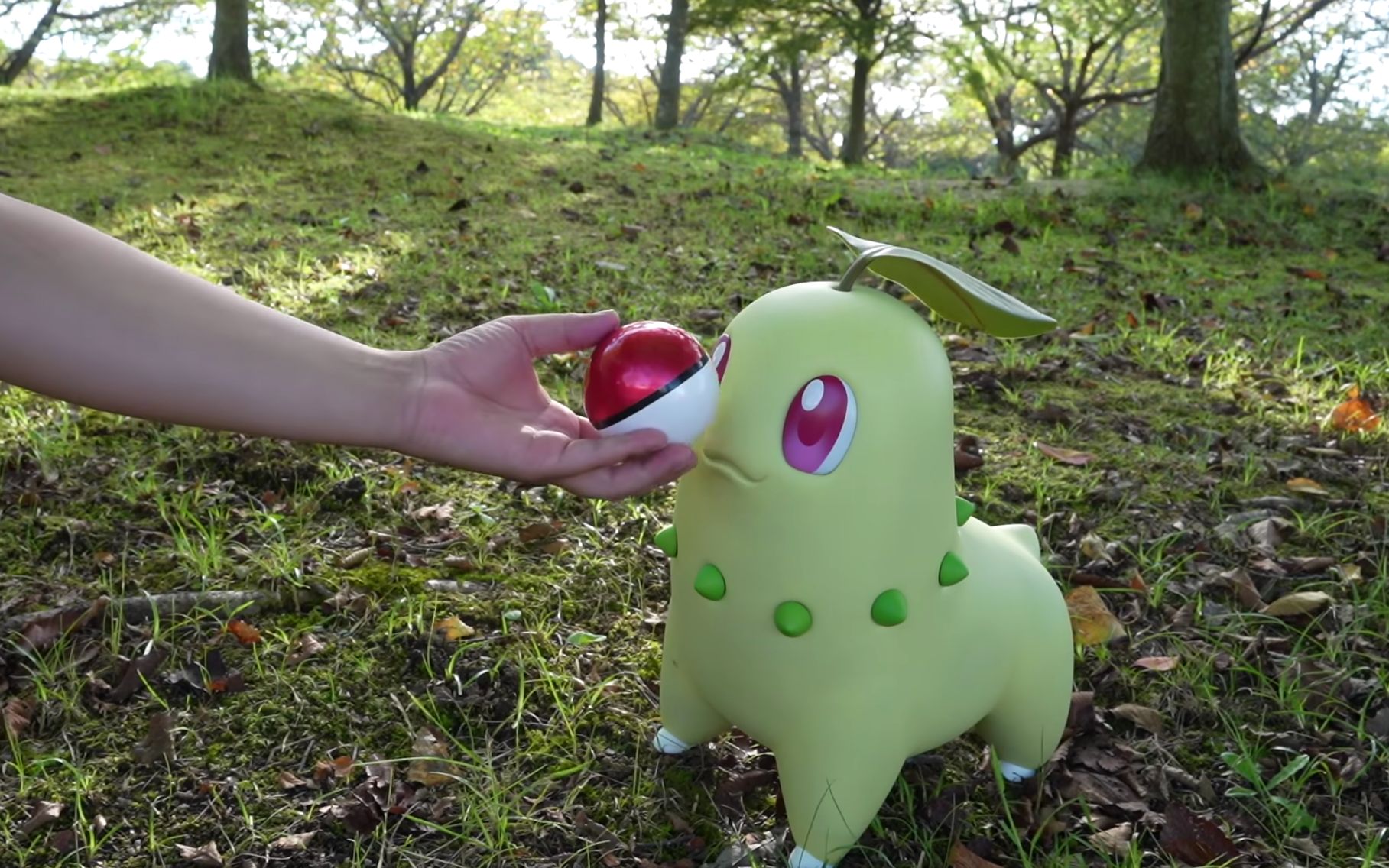 【宝可梦手工】粘土1:1还原菊草叶,头上那片ߍ�亮了