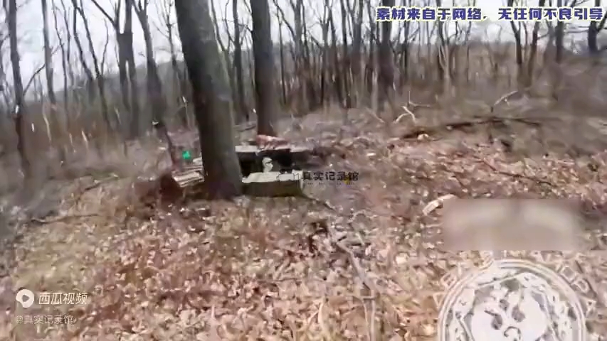 俄乌战争真实影像