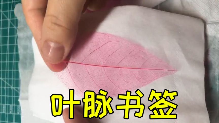 将树叶用水煮过后竟可以做成好看的叶脉书签,这也太神奇了吧!