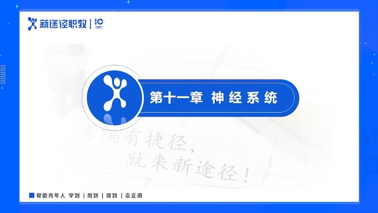 第十一章 神经系统 第二节神经系统感觉功能-生理学