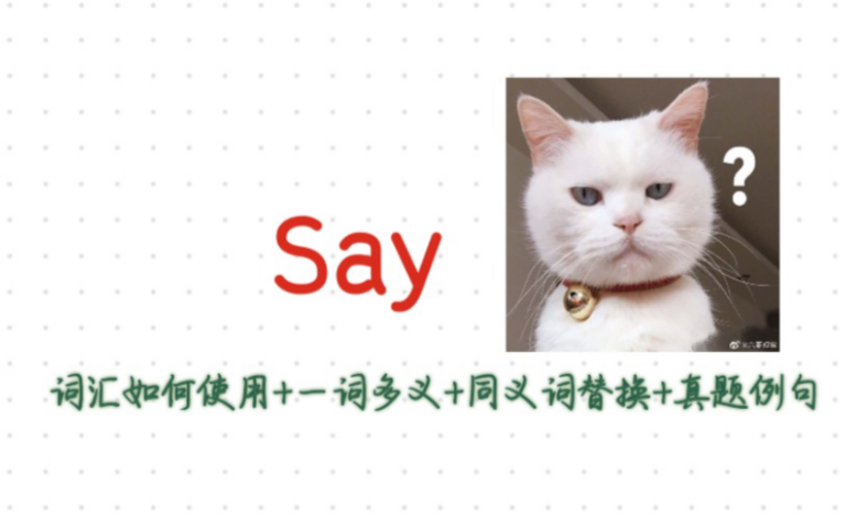 词汇say详解--用法+一词多义+同义词替换+例句解析