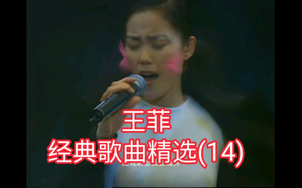 王菲经典歌曲精选(14)