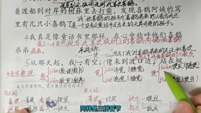 二下语文第9课《枫树上的喜鹊》:知识点整理,排比句仿写技巧