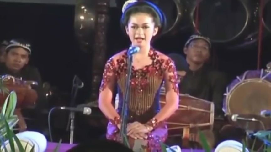 印度尼西亚传统民族音乐表演