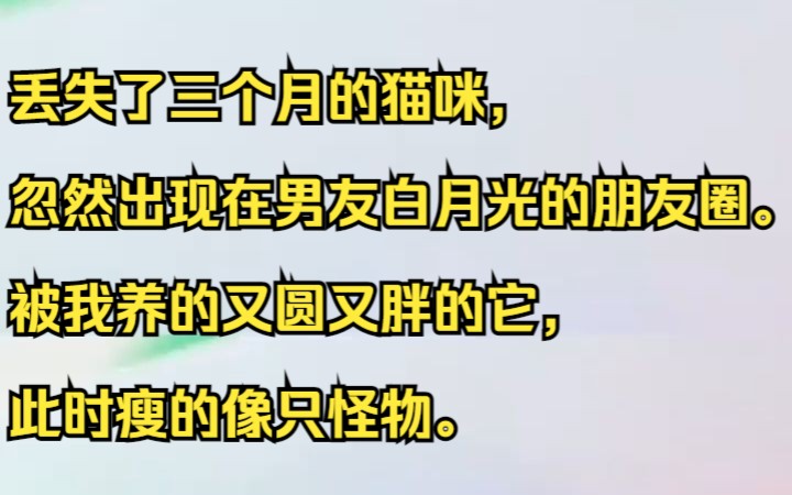 丢失了三个月的猫咪,忽然出现在男友白月光的朋友圈。 被我养的又圆...
