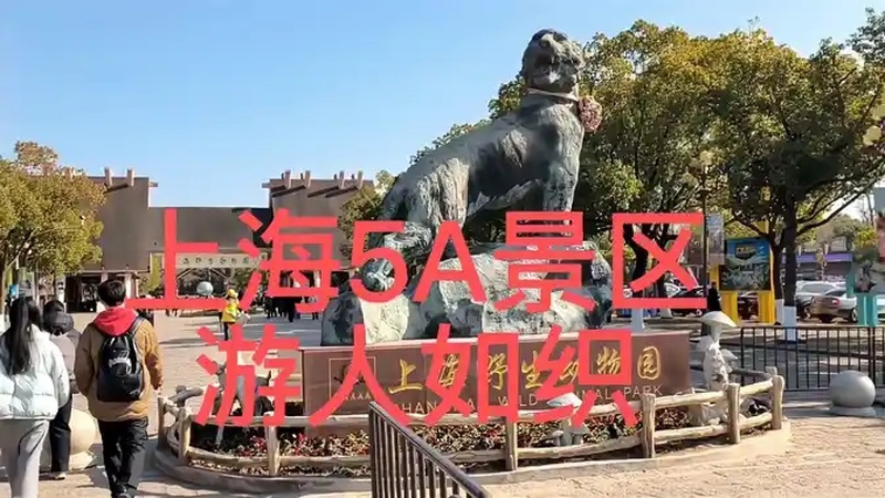 上海野生动物园(一),园区一偶