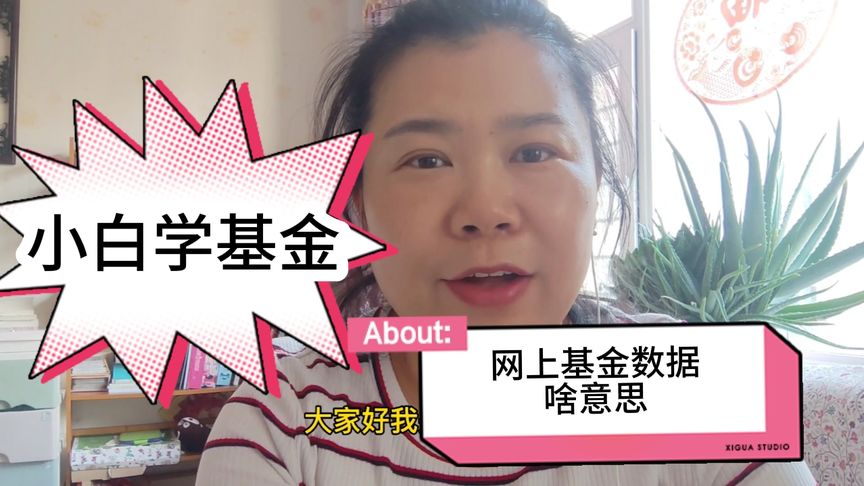 夏普比率怎么看?看不懂没关系,小白就买一只基的话,买点啥?