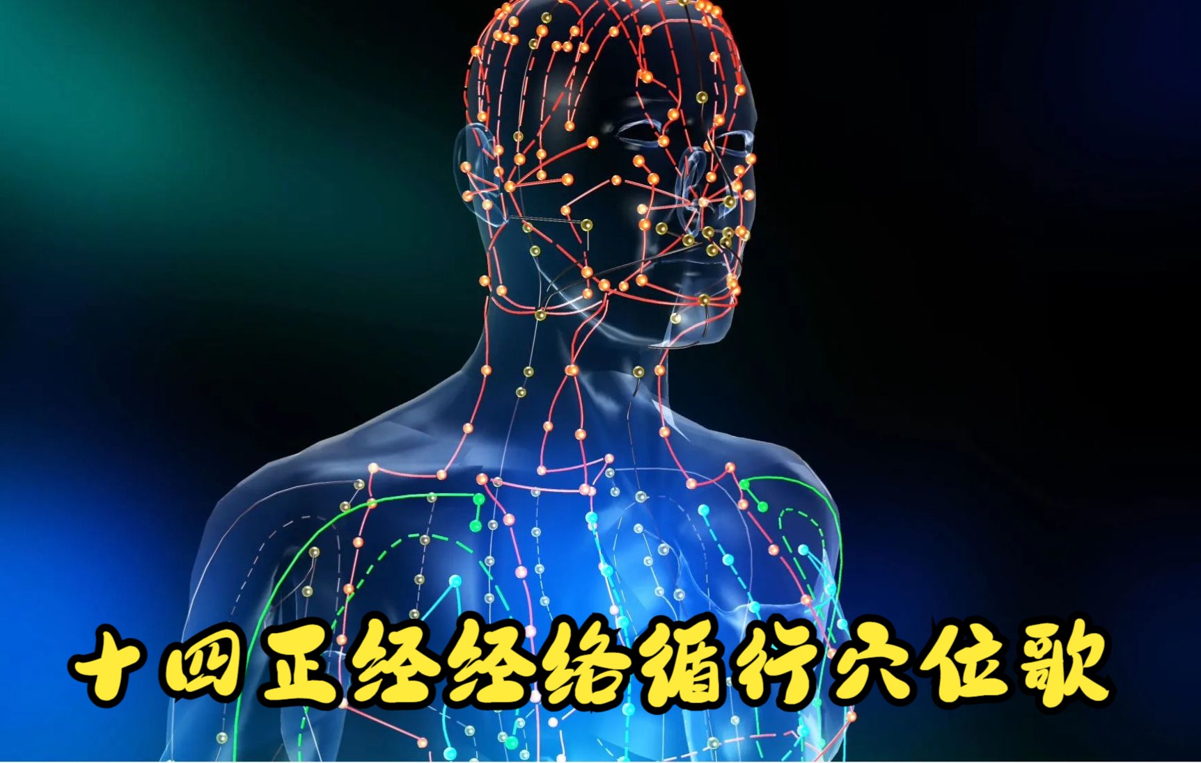 人体穴位轻松记之十二经络及任脉督脉十四正经循行动画及穴位歌