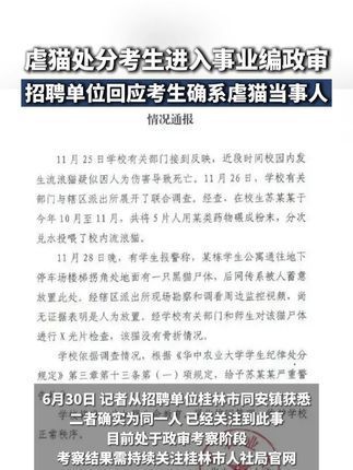 虐猫处分考生进入事业编政审 招聘单位回应考生确系虐猫当事人