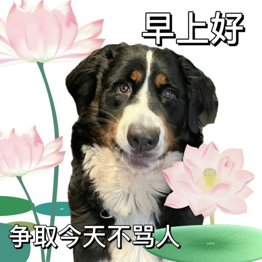 Ccc胡胡 