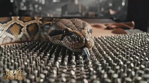 废弃鞋厂惊现机械巨蟒!冲针模板上演硬核蜕皮重生