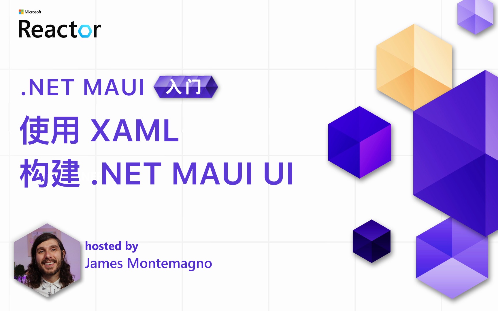使用 XAML 构建 .NET MAUI UI|.NET MAUI 入门