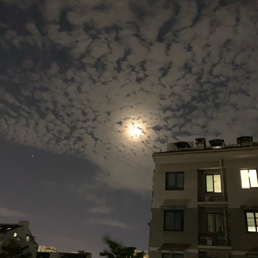 月光失眠症 