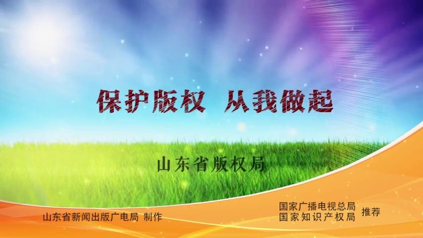 保护版权从我做起—诚信篇