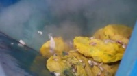 医疗垃圾处理设备 医疗垃圾处理设备价格