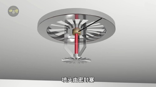 可以救命的这东西,不同颜色代表什么?