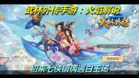 武林外传手游: 火焰解说 第一期 初来七侠镇偶遇白玉汤