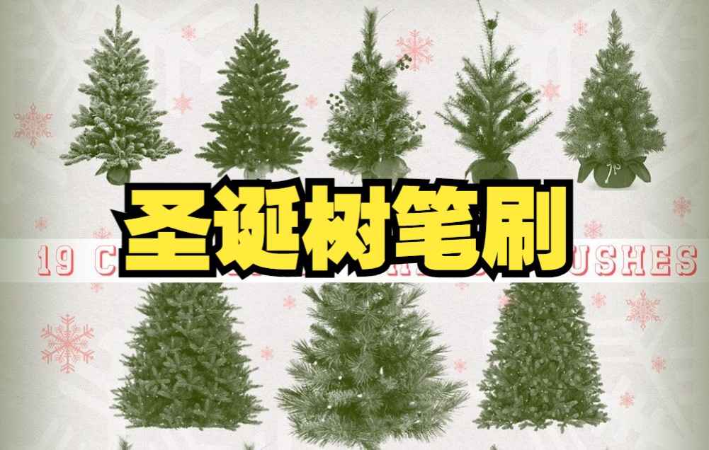 【笔刷分享】ps/pro通用,圣诞树笔刷