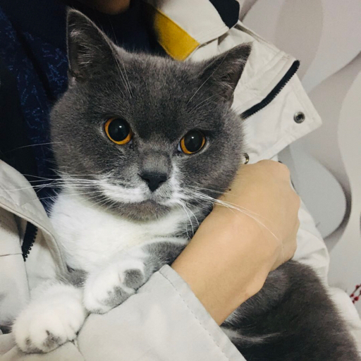 王雪碧的化学课堂 