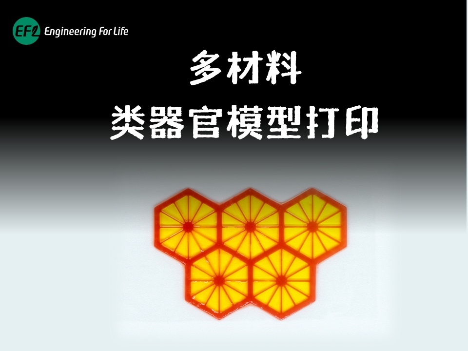 多材料3d打印类器官模型