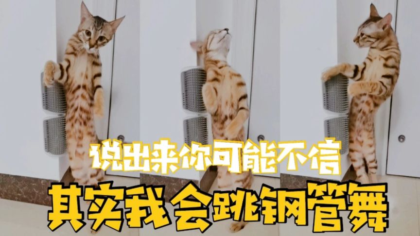 说出来你可能不信,其实我会跳钢管舞