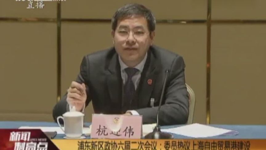 浦东新区政协六届二次会议:委员热议上海自由贸易港建设
