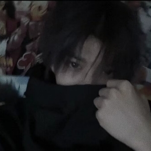 林越a1 